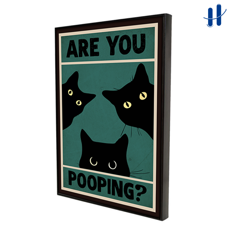 Haydecor Cat Poop Frame Wall Decoration Room Display Aesthetic ...