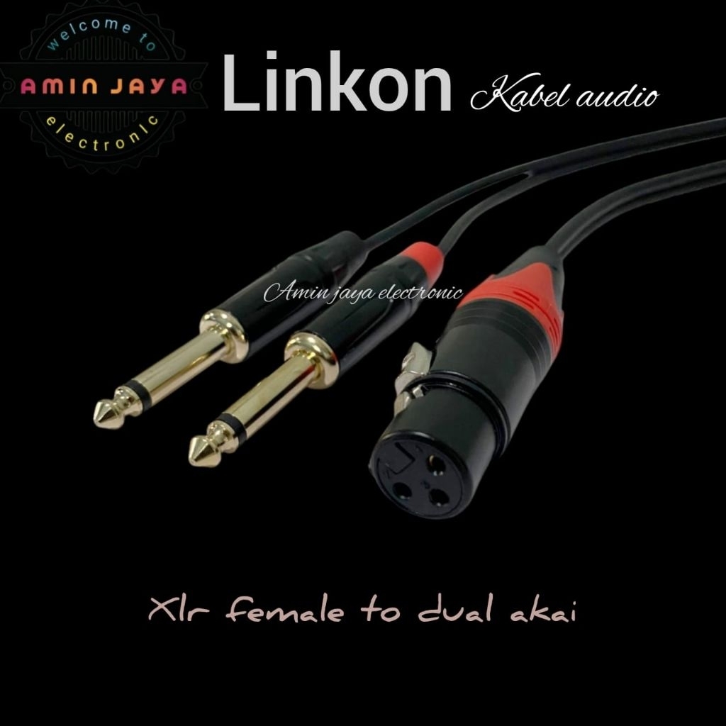 Xlr female cable tp dual akai / audio cable canon female to dual akai ...