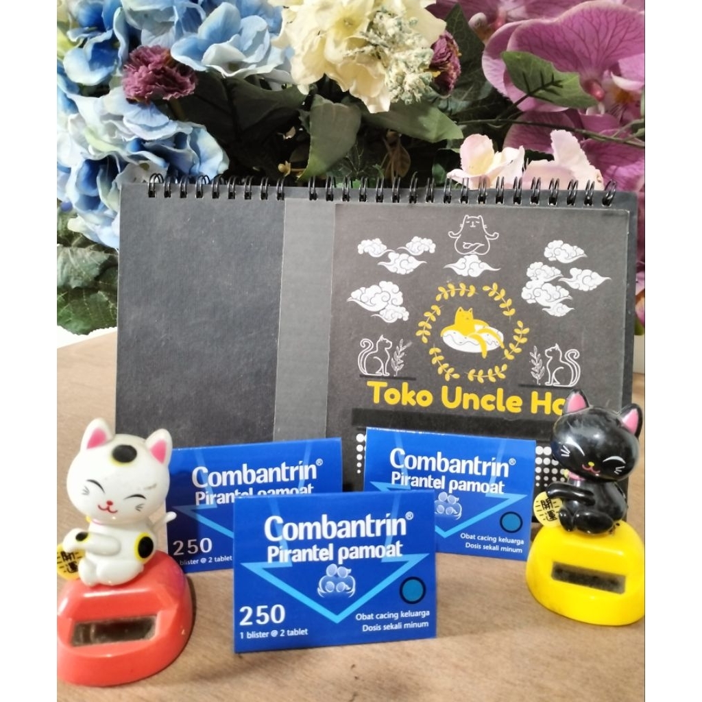 COMBANTRIN Tablet 250 mg (1 strip contains 2 tablets) | Shopee Malaysia