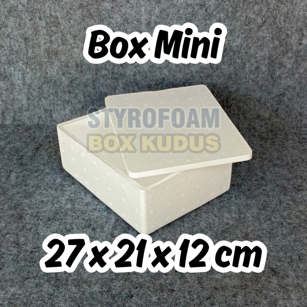 (JAWA ISLAND ONLY) CHEAPEST Mini Box - Styrofoam Box New Storage ...