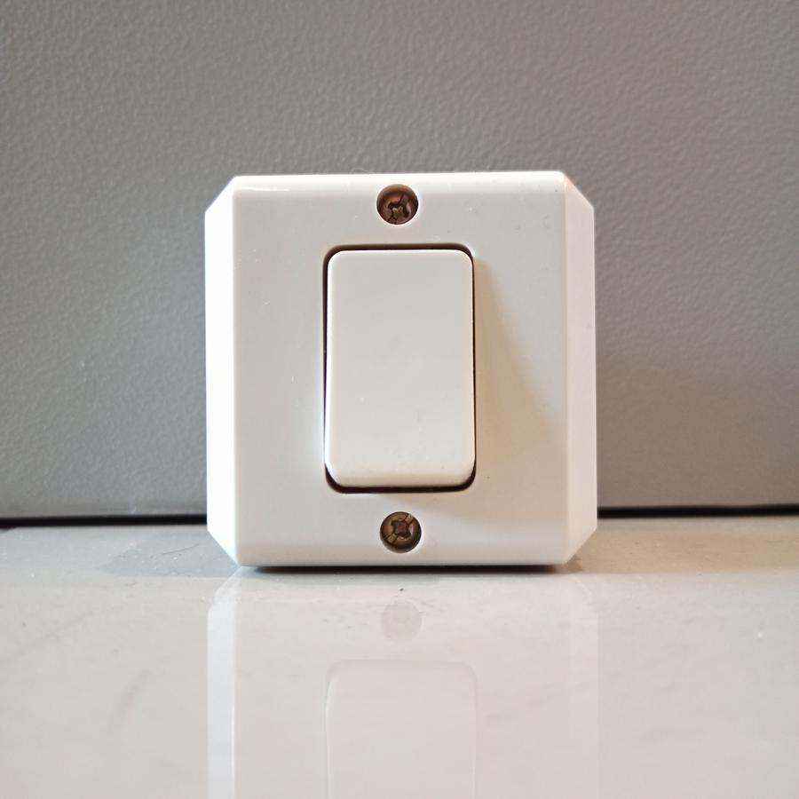 BROCO SINGLE OUTBOW TRUNK SWITCH BROCO CREAM BROCO BROCO TEMPEL SWITCH ...