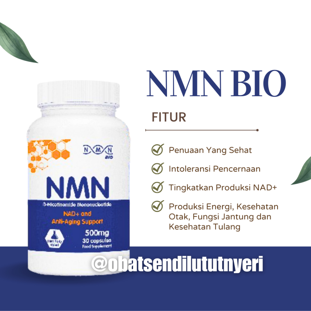 Nmn Bio - Beta Nicotinamide Mononucleotide 99% Pure Capsules - 500mg Effective Anti Aging ...