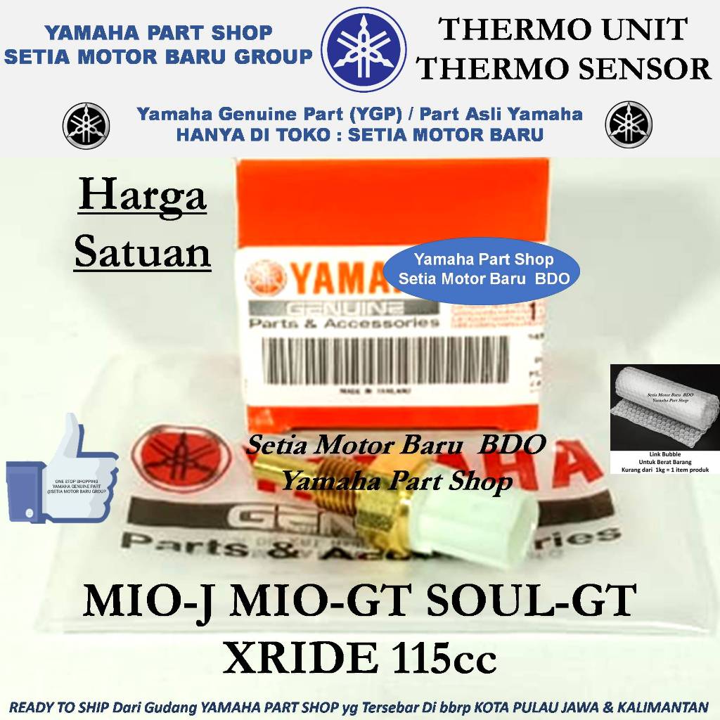 Thermo Sensor Thermo Sensor Thermo Unit ECT EOT MioGT MioJ Xride SoulGT ...