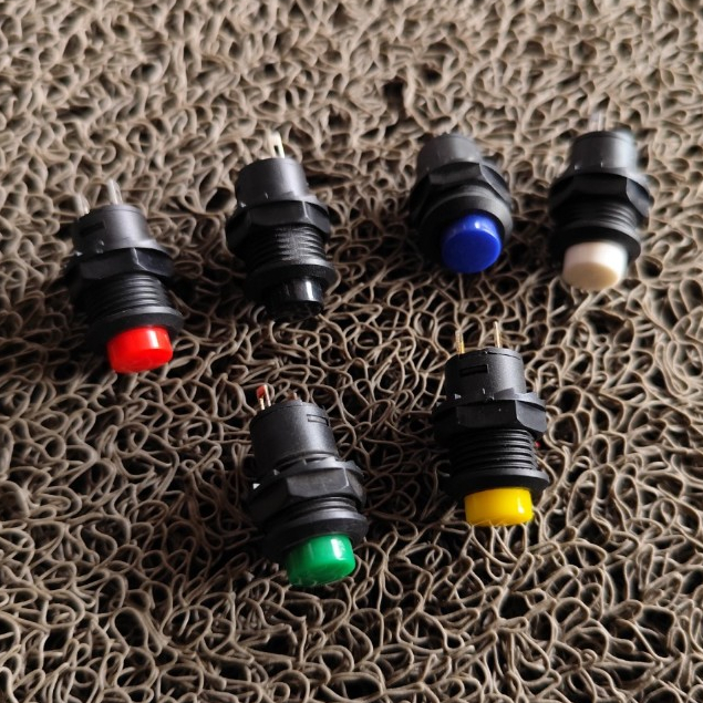 Push Button Switch 2 Pin On Off Switch DS427 3A 125V 1.5A 250V | Shopee ...