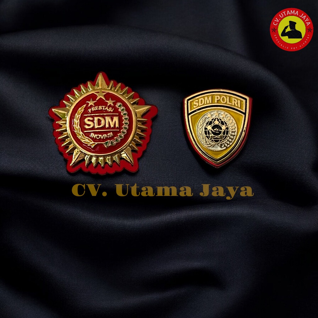 Hr Pin | National Police HR Brevet Wheel of Human Resources Police ...