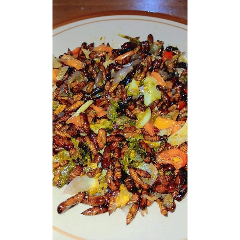 TEAK ENTUNG/TEAKULAR/TEAKER (OSENG/TUMIS) | Shopee Malaysia