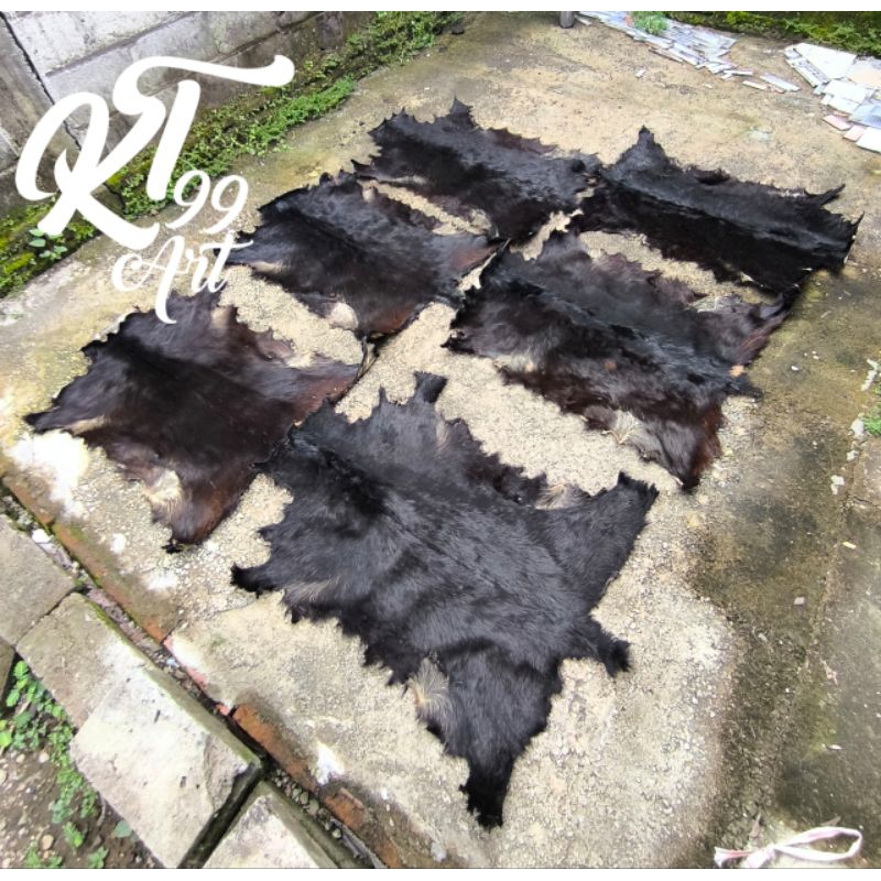 HITAM [STANDARD] Sheet goat skin // simbar leather // plain black goat ...