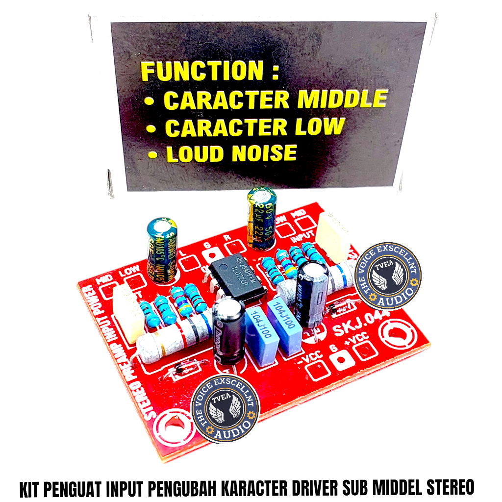 Driver GAIN INPUTER AND SUB DRIVER CHARACTER DRIVER/STEREO MIDEL ...