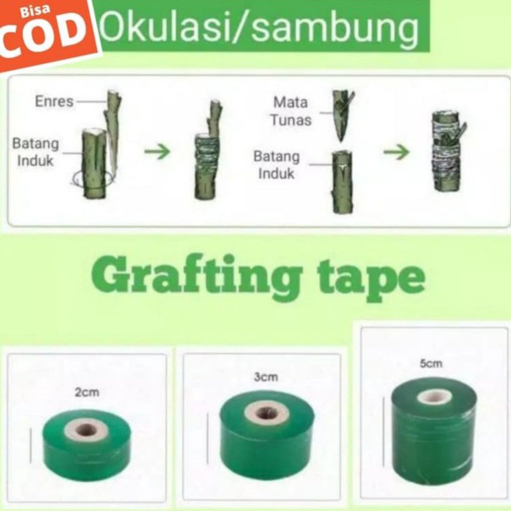 New Package GRAFTING TAPE PLASTIC OCCULATION CONNECTING PUCUK 3 CM X 1 ...