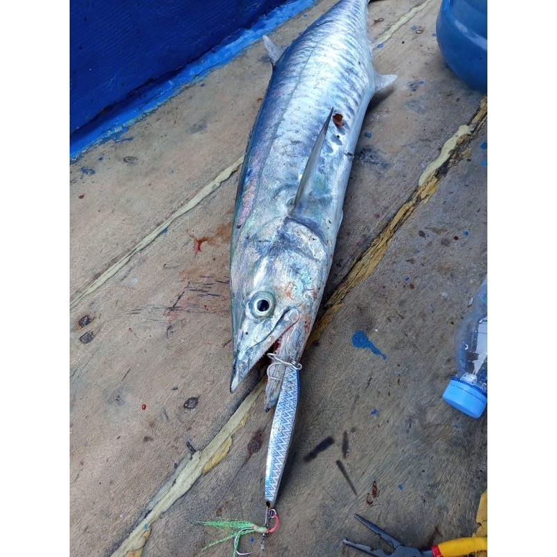 Hydrocynus SPOON TENGGIRI 25G 30G 35G 40G | Shopee Malaysia