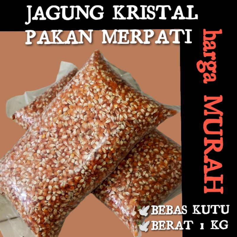 Crystal CORN 1 KG (bird feed) | Shopee Malaysia