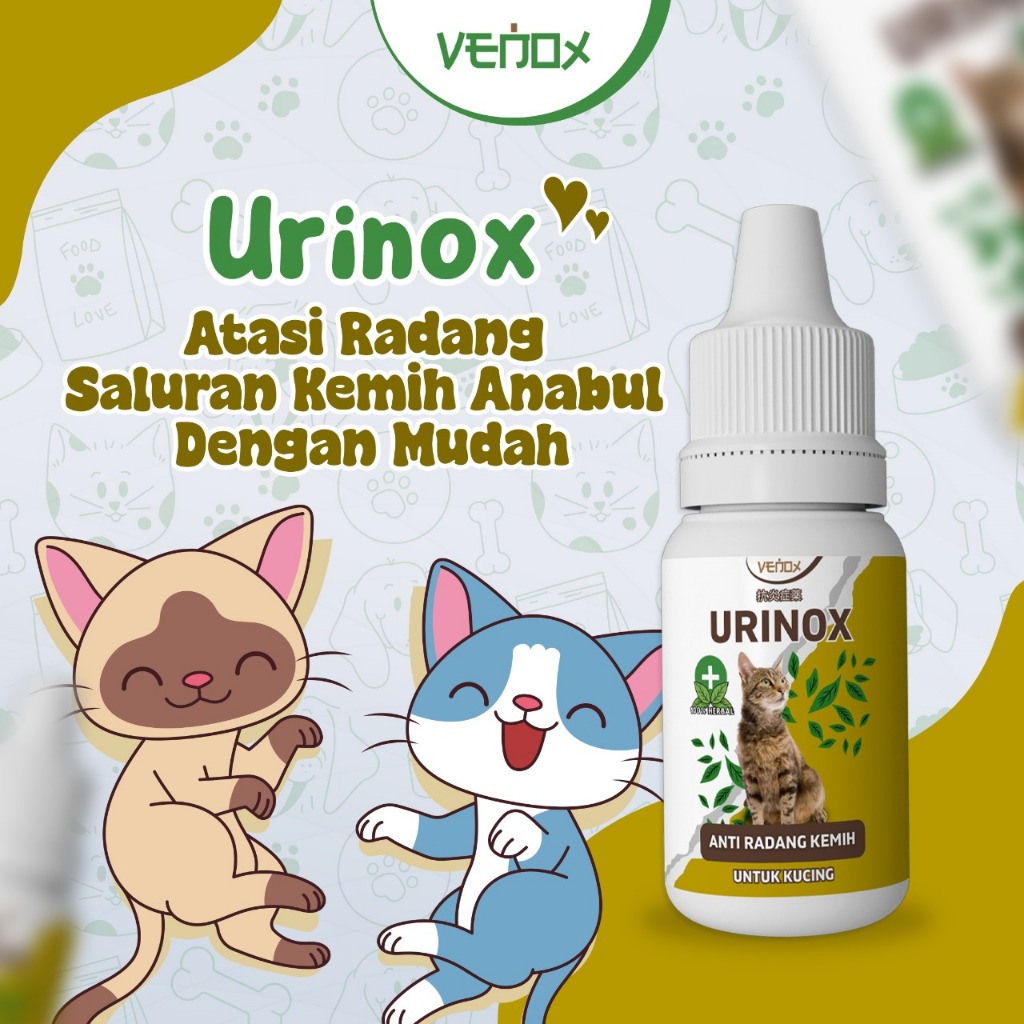 Urinox - Venox Cat Medicine Venox Anti-Urinary Inflammation Infection ...