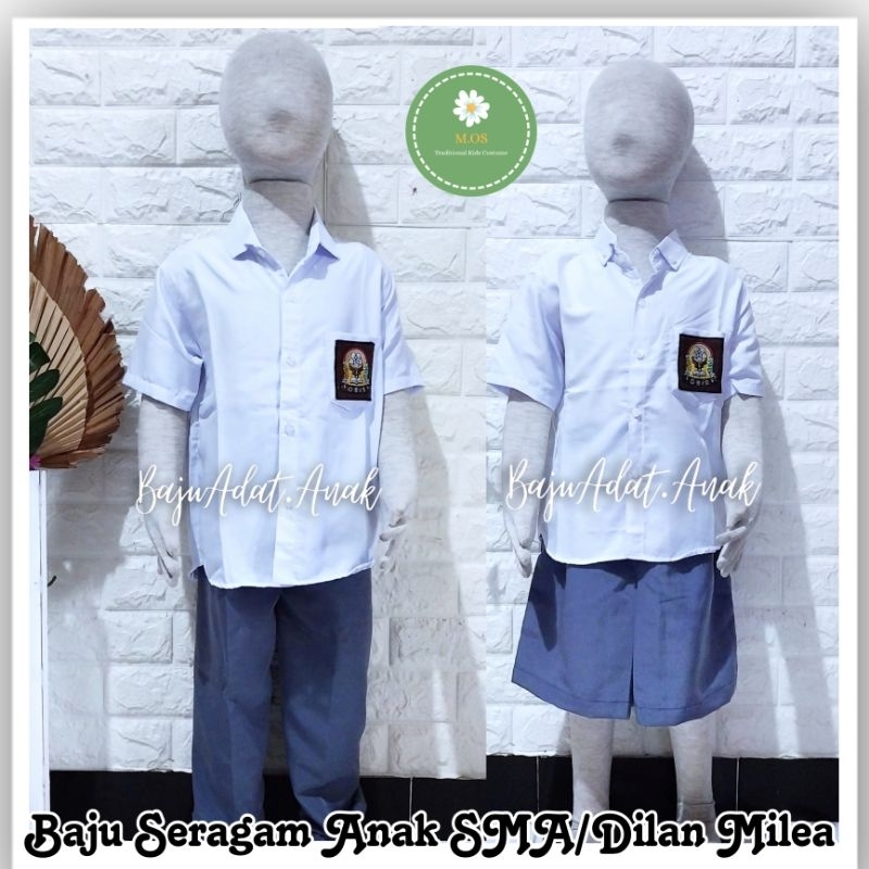 Dilan Milea High School Uniform | Children's High School Costumes ...
