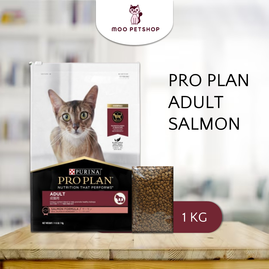 Proplan Salmon for Adult Cats, 1kg repack packaging | Pro Plan adult ...