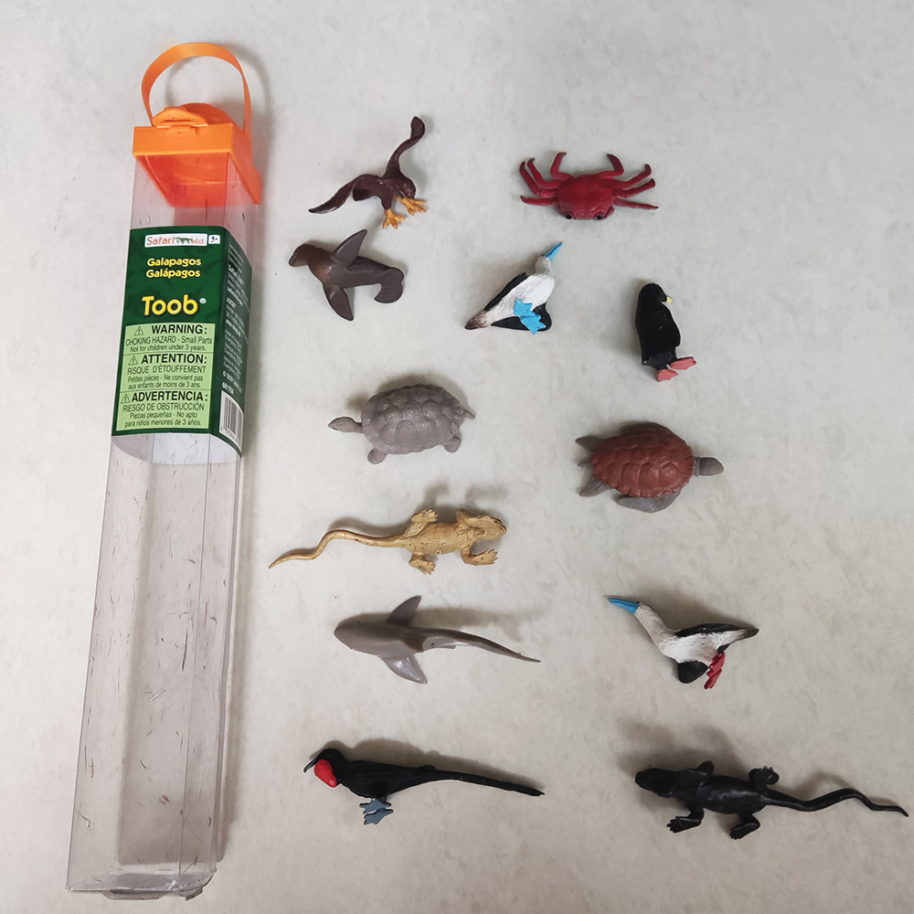 Preloved CHILDREN'S TOY SAFARI LTD TOOB GALAPAGOS COMPLETE | Shopee Malaysia