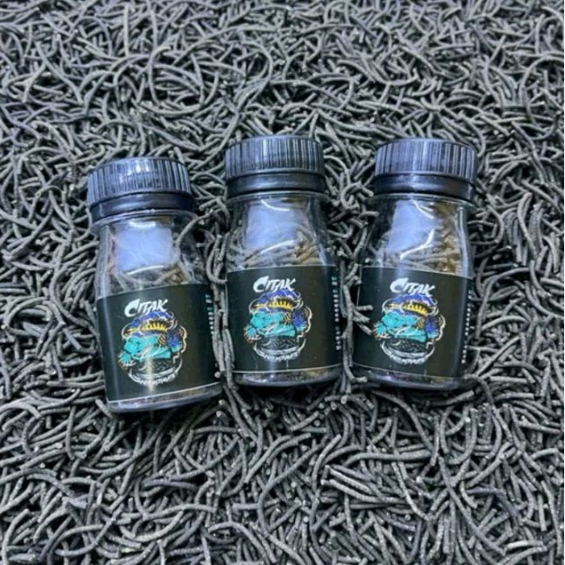 Pure Frog Pellets Channa Auranti Feed by Kurawa Samudra | Shopee Malaysia