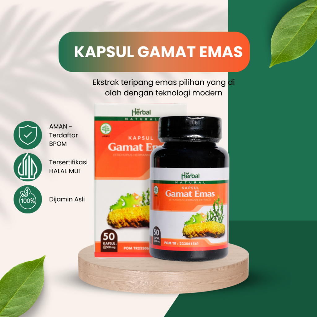 Hernia Medicine Proven to Berok - Gold Gamat Capsules | Shopee Malaysia