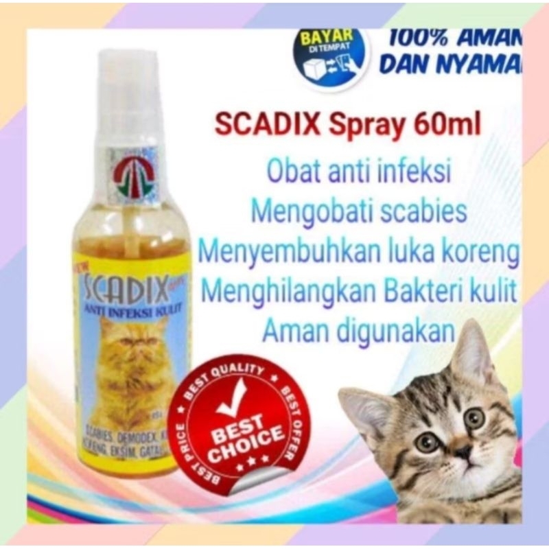 Scadix SPRAY 60ML Anti Scabies medicine Scabies medicine fungus ...