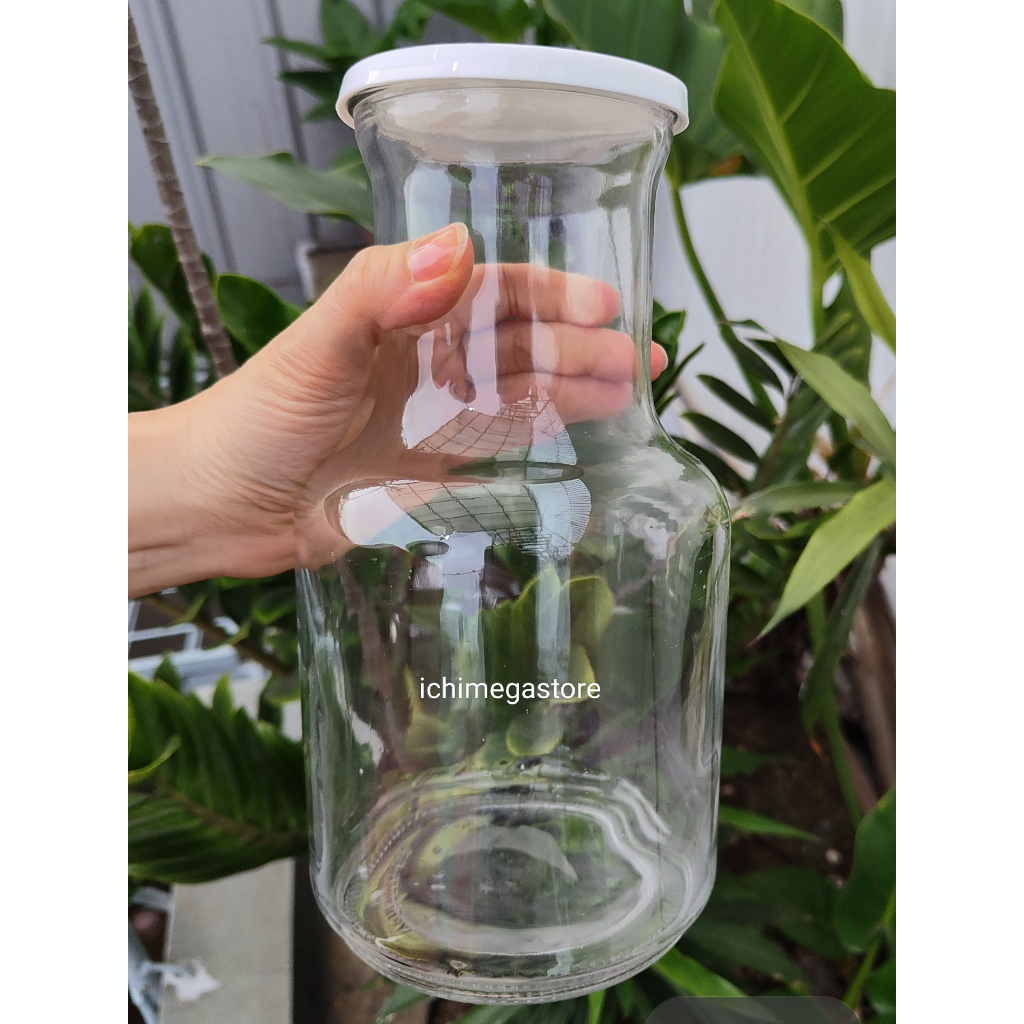 Ichimegastore Glass Pitcher Without Handle With Lid XL Non Handle ...