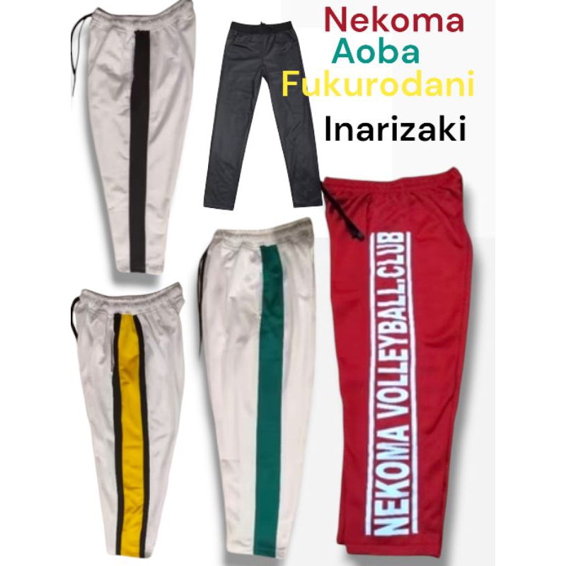 Haikyuu karasuno ICS team fukarandari/aoba/inarizaki/shiratorizawa ...