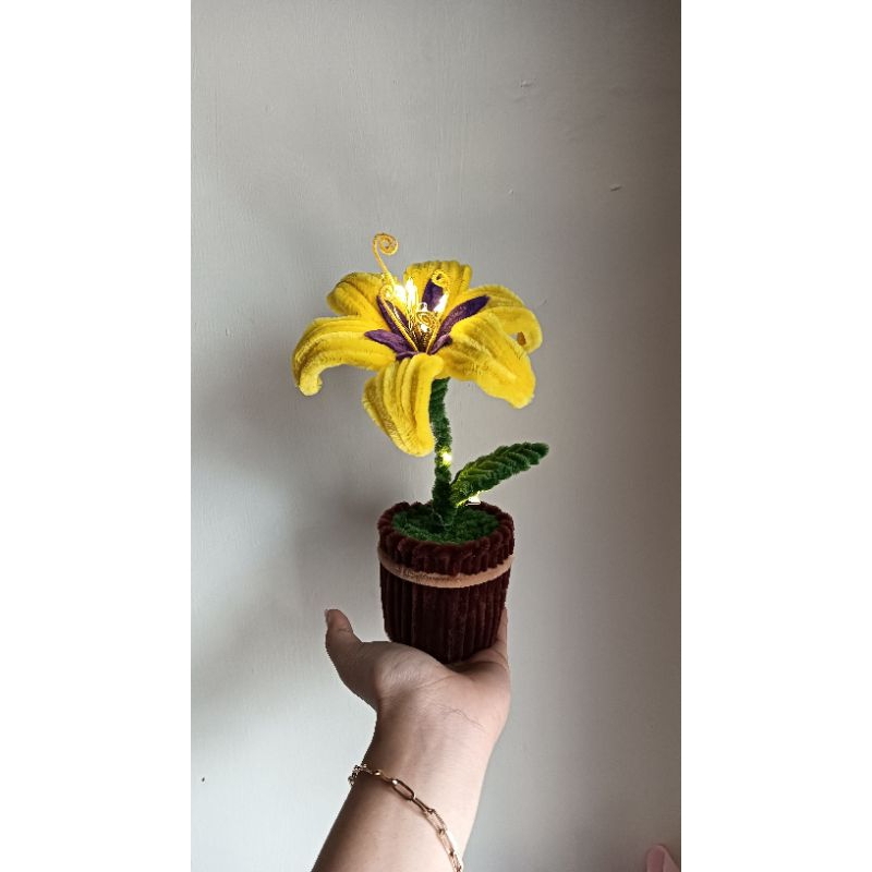 Sundrop pipe cleaner flower pot | Shopee Malaysia