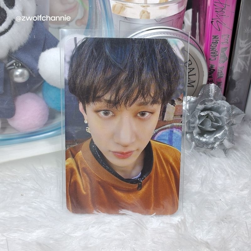 Photocard OFFICIAL STRAYKIDS STRAY KIDS SKZ 5STARS 5STAR 5-STAR 5-STARS ...