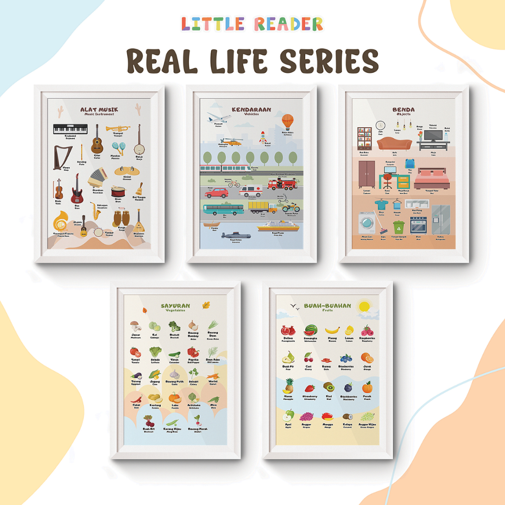 Real Life Series Aesthetic Wall Posters Children's Educational Posters ...