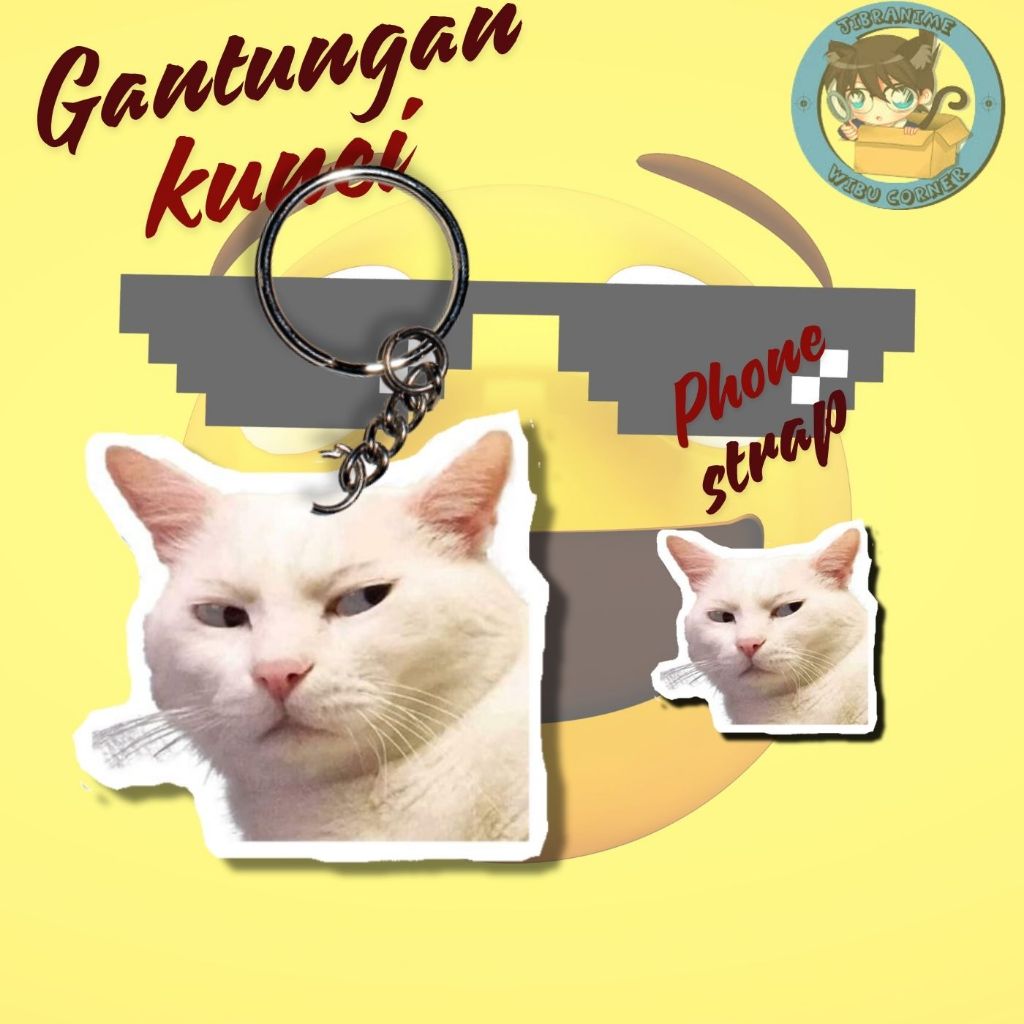GANTUNGAN Two-sided CAT MEME ACRYLIC KEYCHAIN/CUTE CAT MEME KEYCHAIN ...