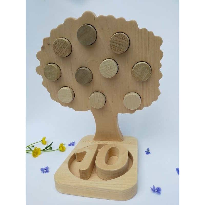 Ten frame WITH NUMBERS SET/Montessori Math Counting tray 1-10/Preschool ...