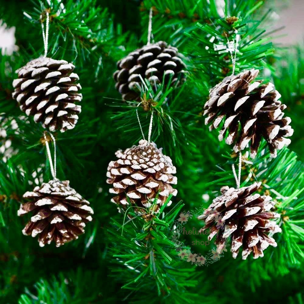 GANTUNGAN Pine Fruit - Accessories Pine Decoration Strobilus Strobili ...