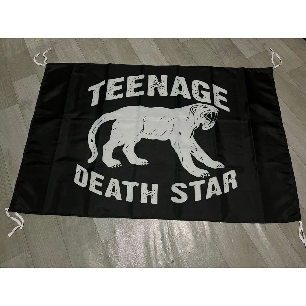 Teenage DEATH STAR Fabric POSTER - TEENAGE DEATH STAR FLAG TDS FLAG ...