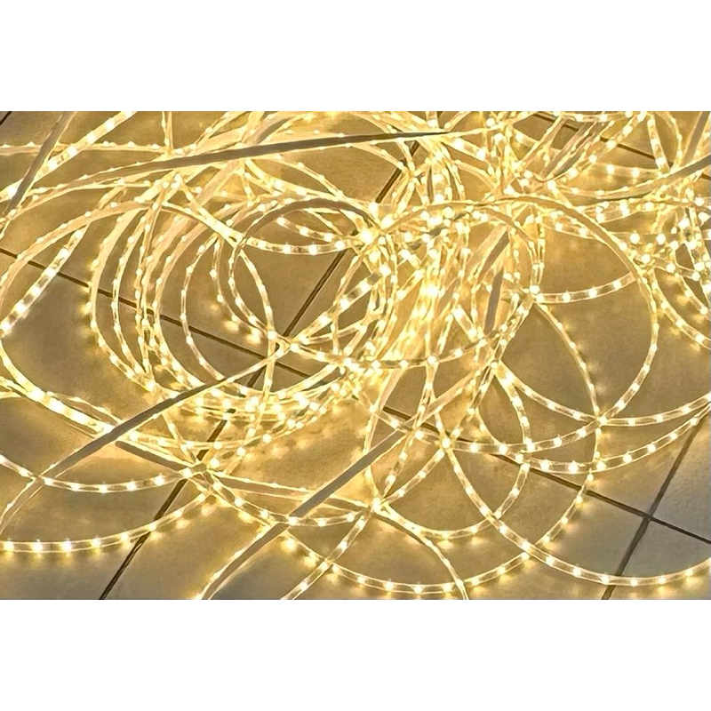 Led Box Hose Lights Meter Per 1 Meter | Shopee Malaysia