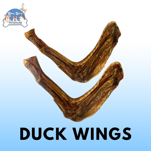 Dehydrated duck wings - whole wings - Dog snack food treats Dog food ...