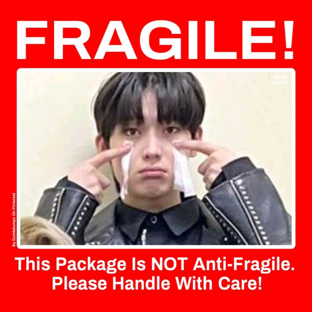 Custom Fragile Stickers / Unique Delivery Stickers / Fragile Handle ...