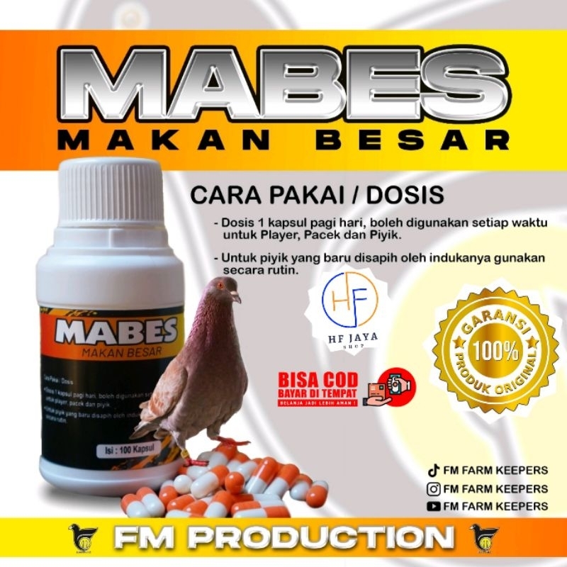 Headquarters (Big Eating) Baron | Pigeon Supplement | Accelerate Wound ...