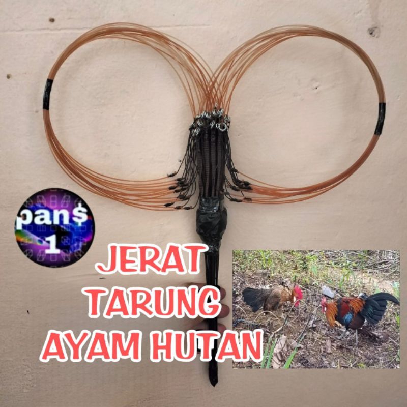 30-hole butterfly style partridge snare | Shopee Malaysia
