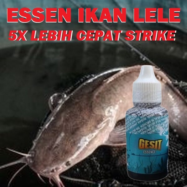 Gesit CATFISH ESSENCE MOST POWERFUL CHICKEN MEDIA READY TO USE CONTENTS ...