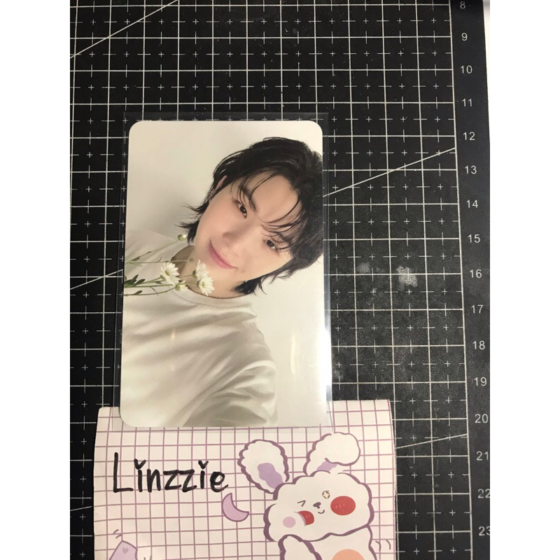 [READY Send IMMEDIATELY] RPC PC Official Random Photocard Album Dear Carver Carat Version Woozi ...