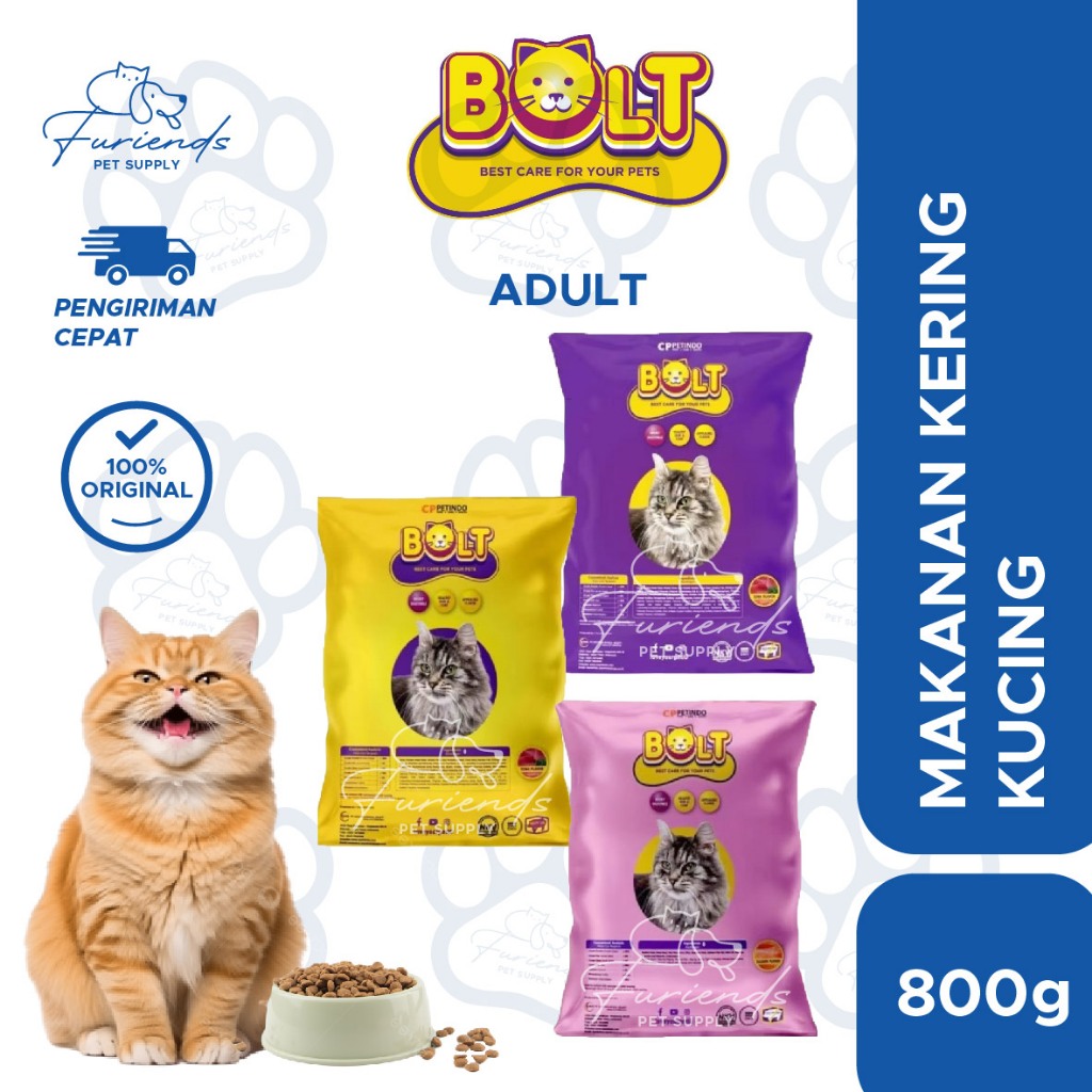 Bolt ADULT Cat Food Dry Cat Food Kibble Tuna Salmon Donut 800 grams ...