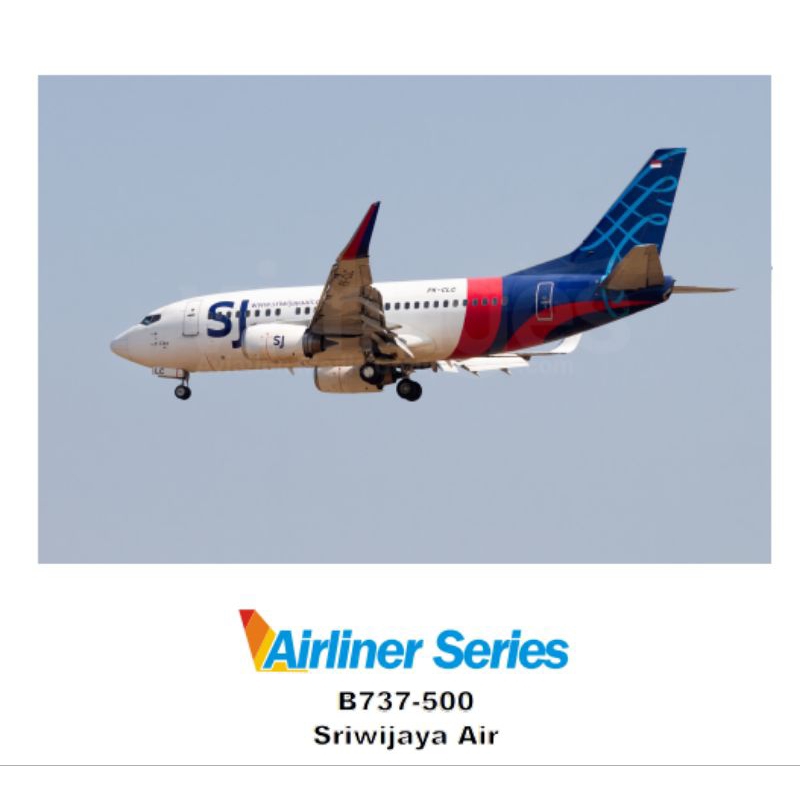 Sriwijaya air Boeing 737-500 100 scale papercraft pattern sheet (PR-A13 ...