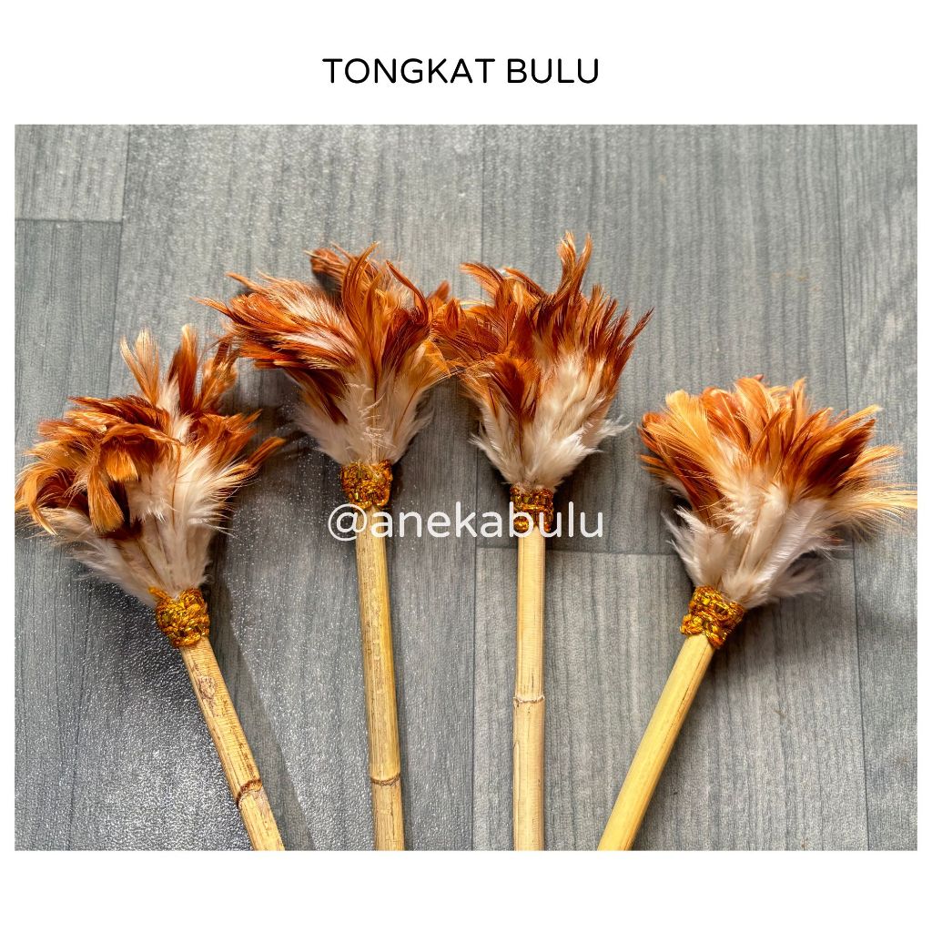 Papuan Dayak Traditional Feather Sticks for Stage Dance Feather Dayak ...