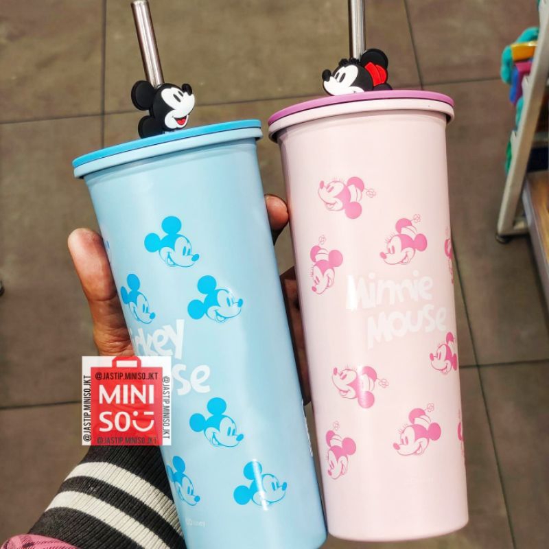 Miniso Stainless Tumbler Drinking Bottle + Straw DISNEY Collection ...