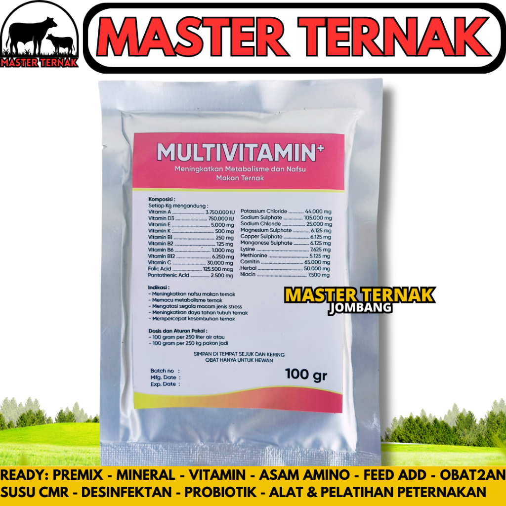 Multivitamin PLUS 100 GRAM - Electrolyte Multivitamin for Appetite for ...