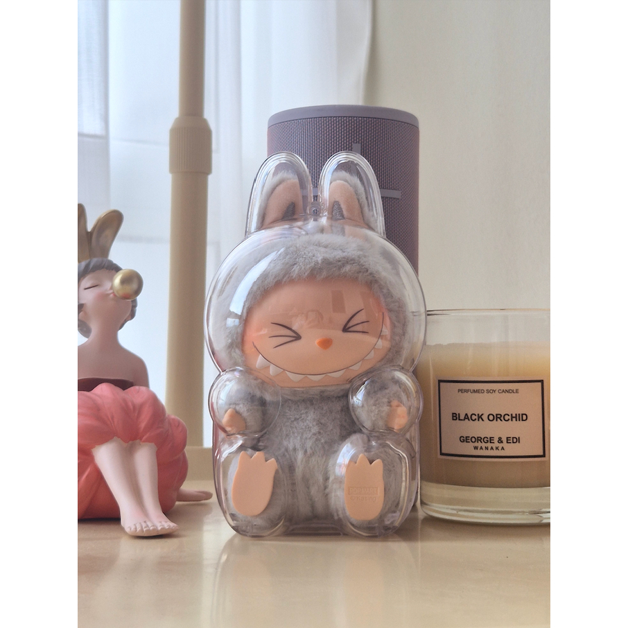 Acrylic Hanging Case for LABUBU V1 and LABUBU V2 | Collectible Art Toys ...