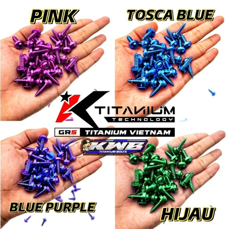 Honda titanium rough body bolts 1 pack contains 20 original gr5 ...