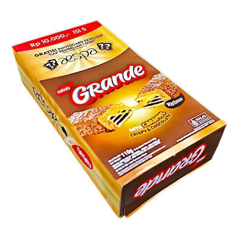 Nabati GRANDE CONTAINS 5 RICHOCO BIG COOKIE 30GR BISCUITS BUTTER ...