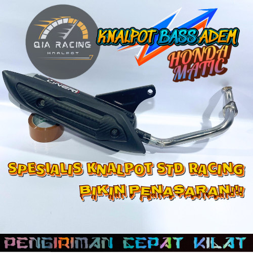 Standard Exhaust racing proliner beat Carburetor vario 125 old beat fi ...