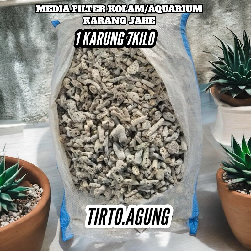 Coral GINGER 1 SACK 7 KG AQUARIUM POOL FILTER MEDIA | Shopee Malaysia