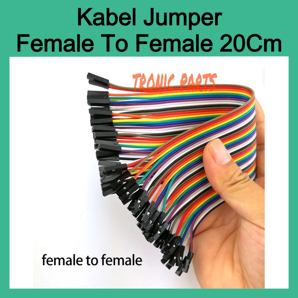 Dupont Female to Female Jumper Cable 20Cm Breadboard Cable Arduino Wire ...