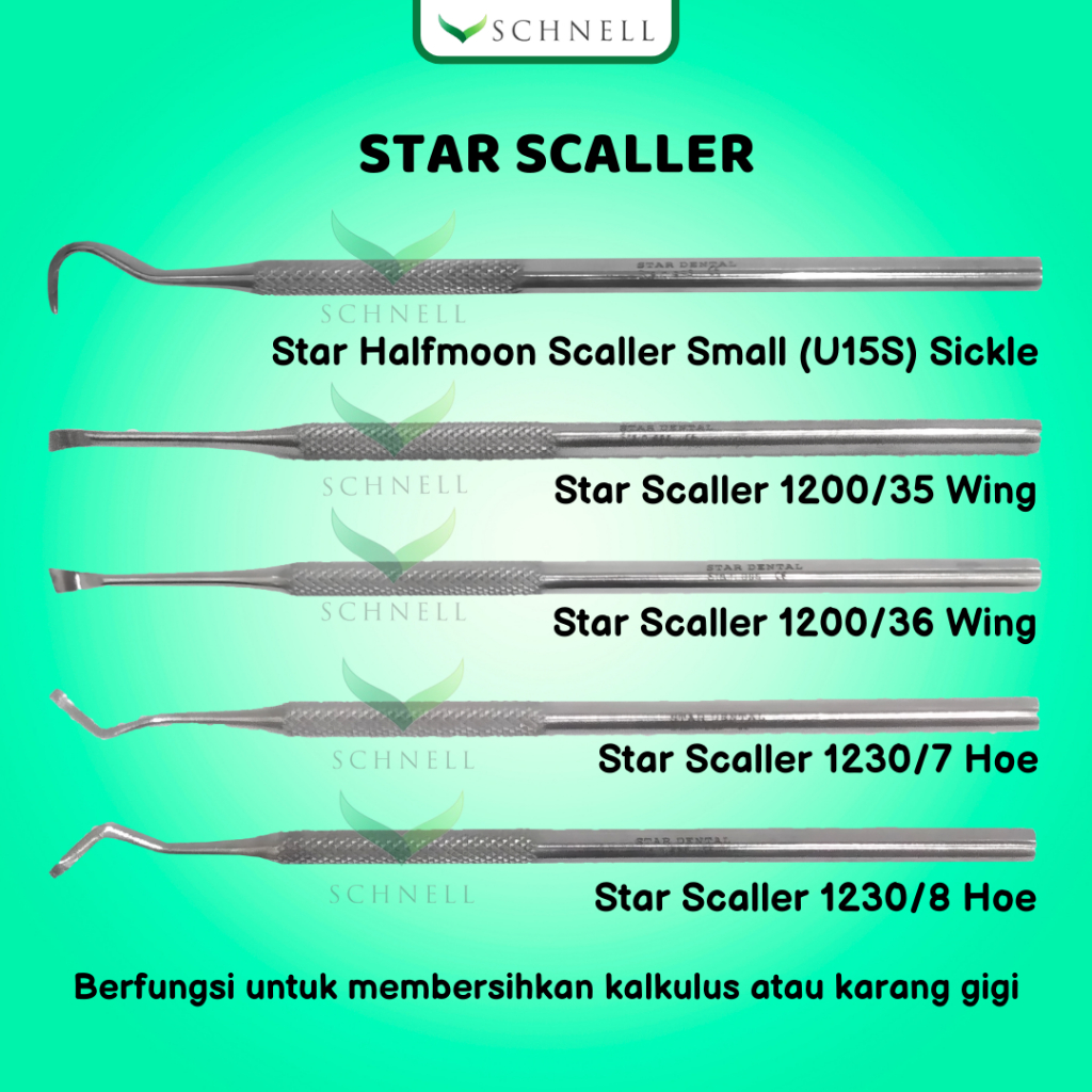 Star Dental Scaler/Scaller/Manual Scaling/Manual Scaling Tool - Dental Instruments | Shopee Malaysia